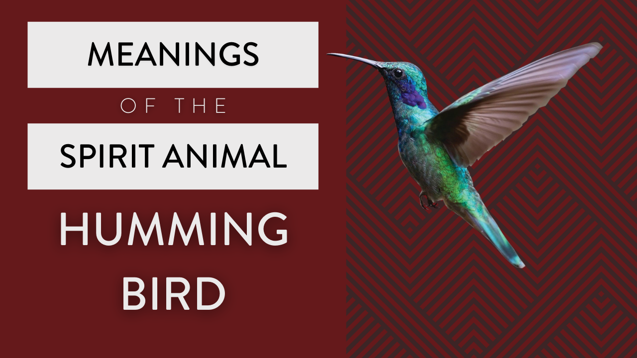 Meanings of the Spirit Animal: The Hummingbird – Tribal Trade